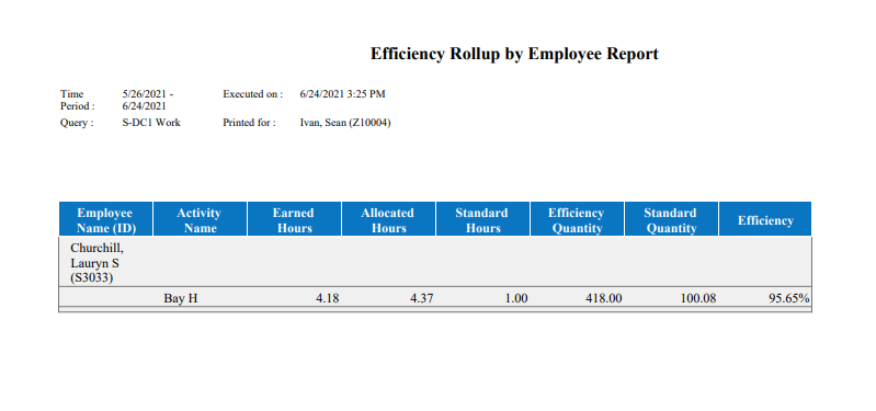 Efficiency Rollup By Employee report